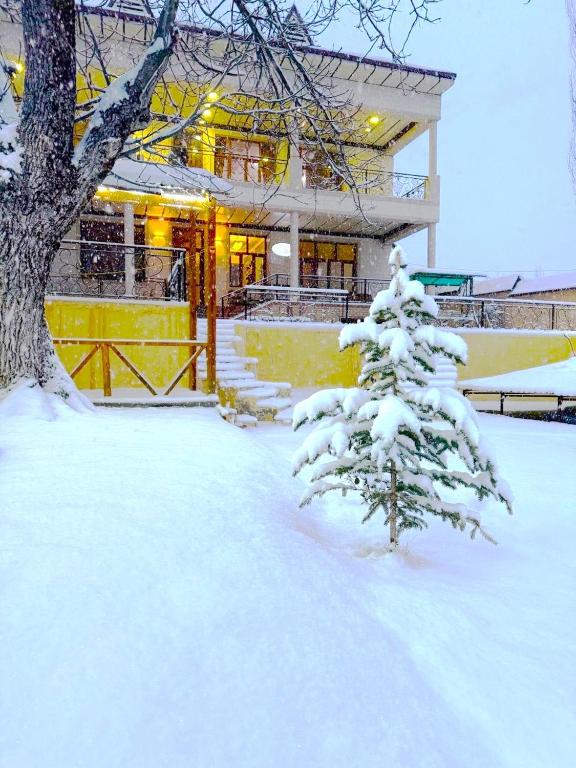 Зона отдых APACHI в горах ЧИМГАН, Chimgan (updated prices 2025)