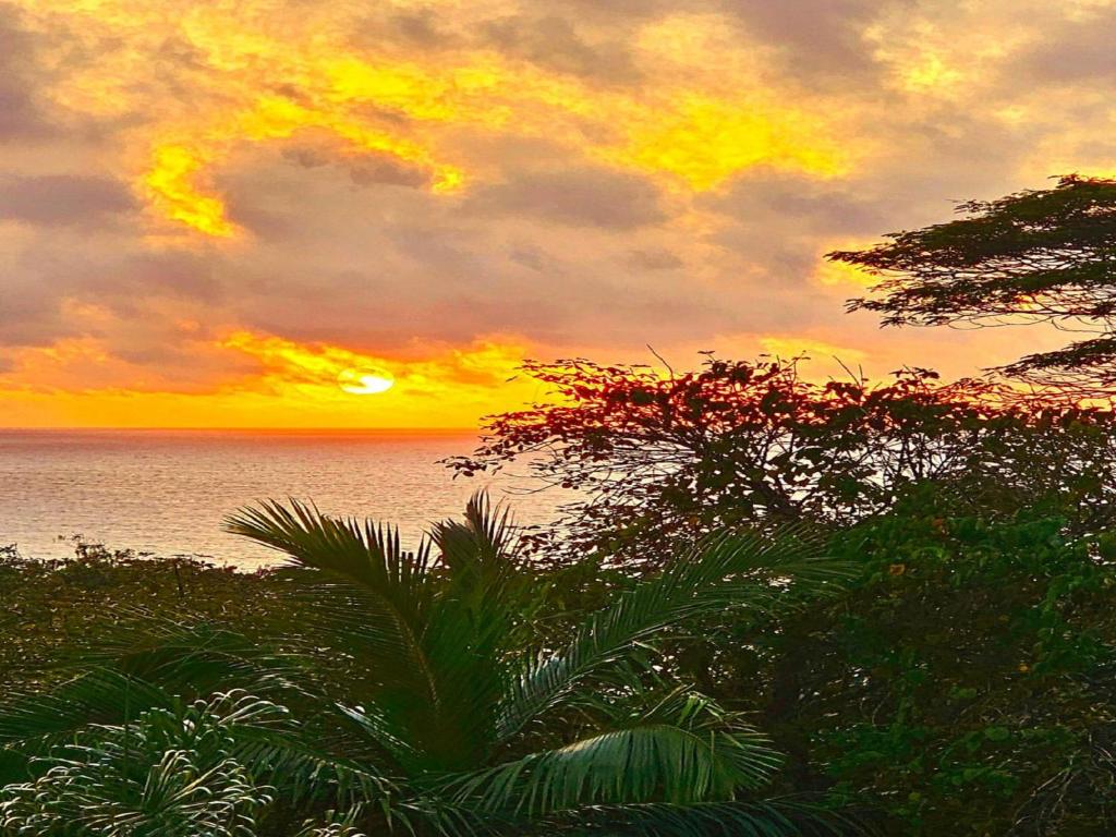 Au Lever Du Soleil Guest House Sea View, Au Cap (updated prices 2025)