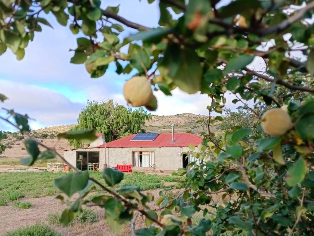 Rooidak, Garies (updated prices 2026)