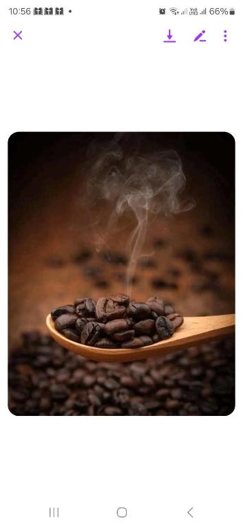 Mikocheni Garden Apartment, Dar es Salaam (precios actualizados 2025)