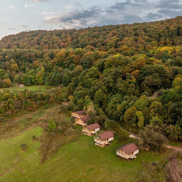 WOW Glamping, Dsegh (aktualisierte Preise für 2025)