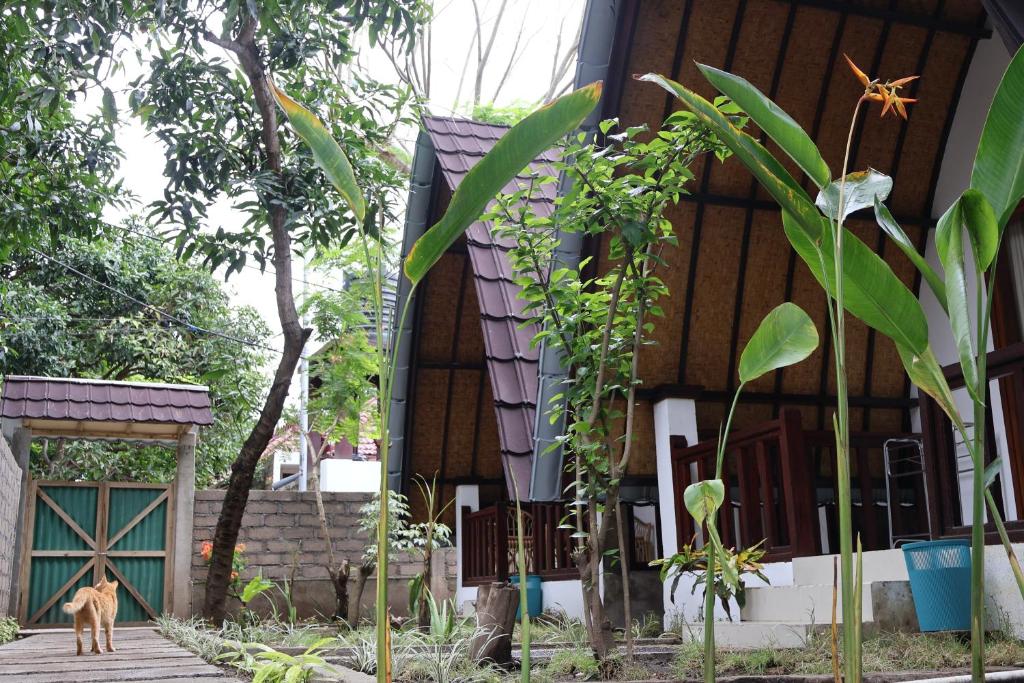Rumah Gemala Gili Air, Gili Air (updated prices 2025)