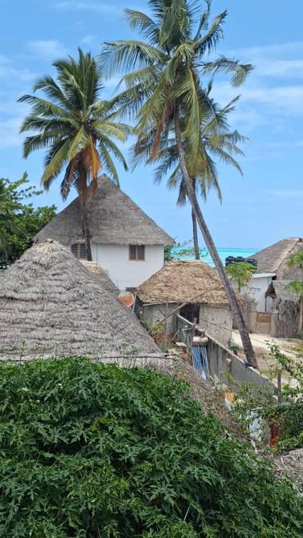 Lala House by Masala Living, Jambiani (updated prices 2026)