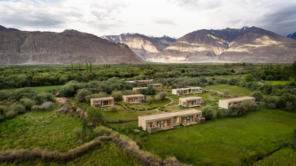 The Creek Diskit, Nubra (updated prices 2026)