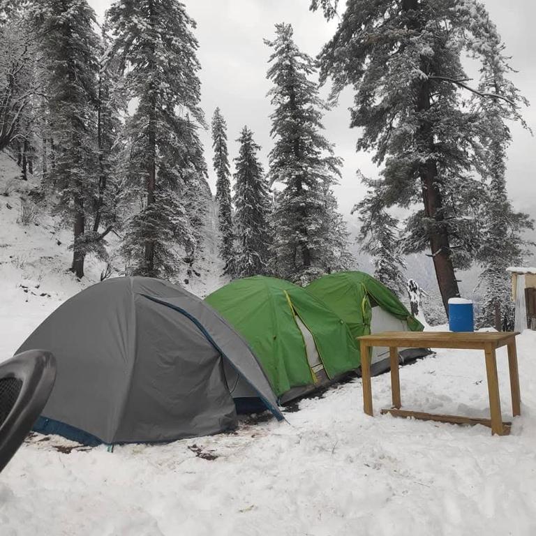 Cafe vee camping point Tosh kutla, Kulu (updated prices 2025)