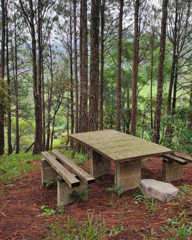 Casa Campo Loma Larga, La Palma (updated prices 2025)