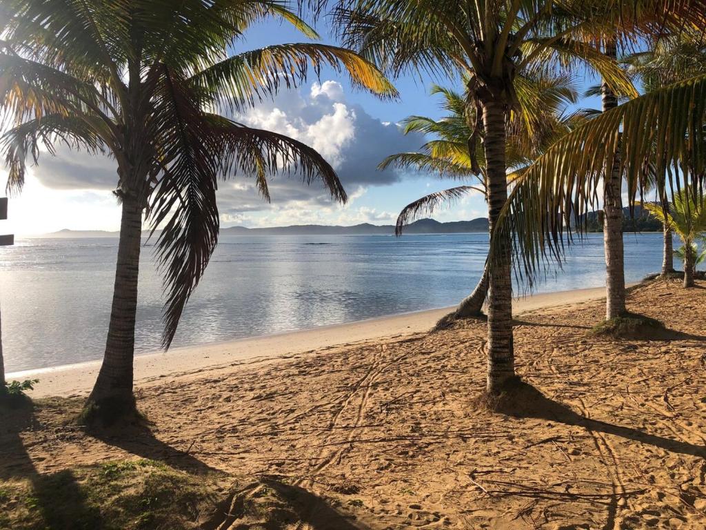 Endless Summer at Punta Bandera, Luquillo (aktualisierte Preise für 2025)