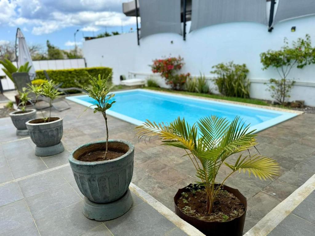 Into Paradise Albion with Pool 4 minutes drive from Public Beach ...