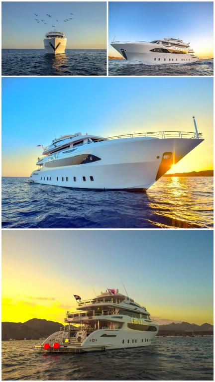 Bella Liveaboard, Sharm El Sheikh (updated prices 2025)