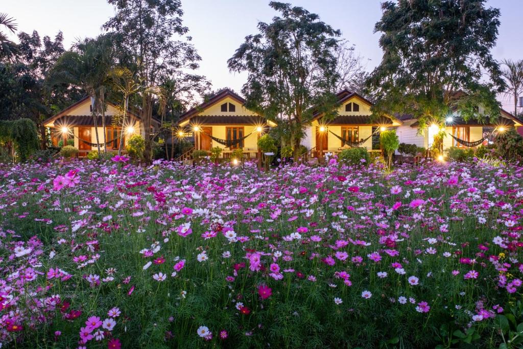 The Nest House, Pai (updated prices 2025)