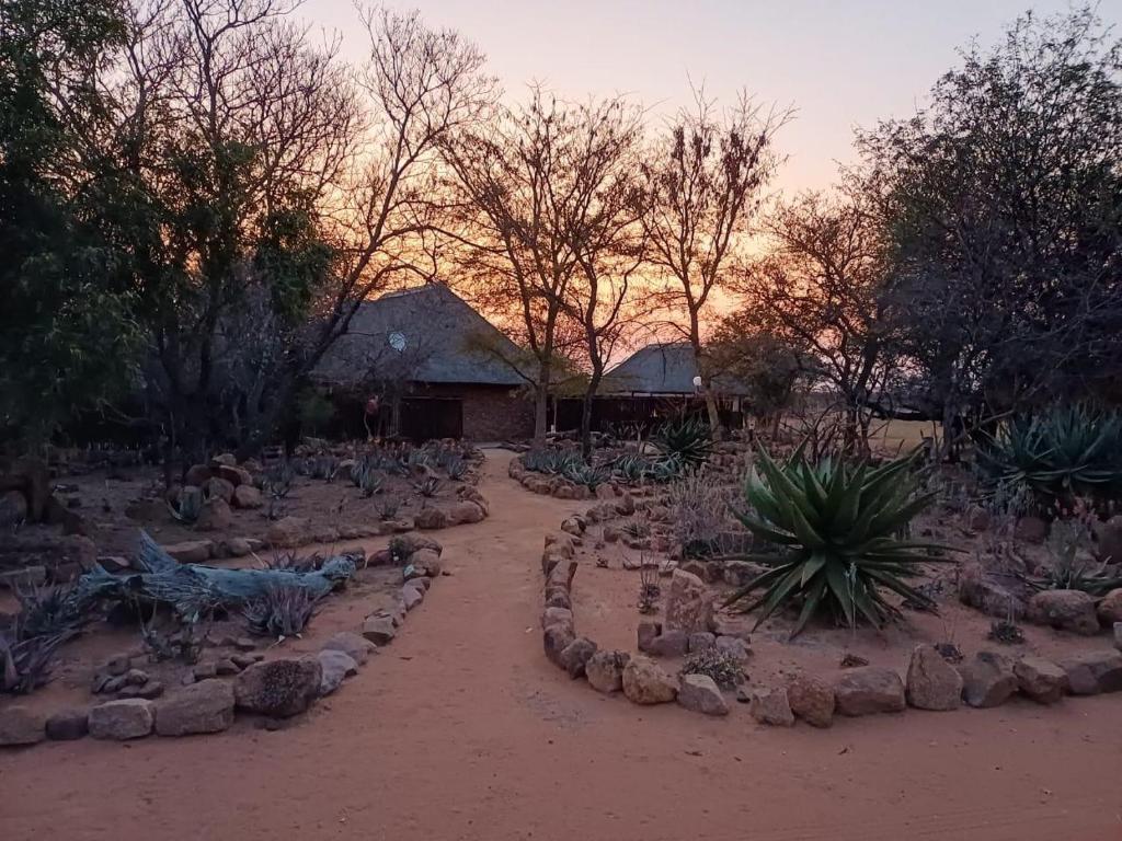 Isilwane Bush Camp, Pretoria (updated prices 2025)