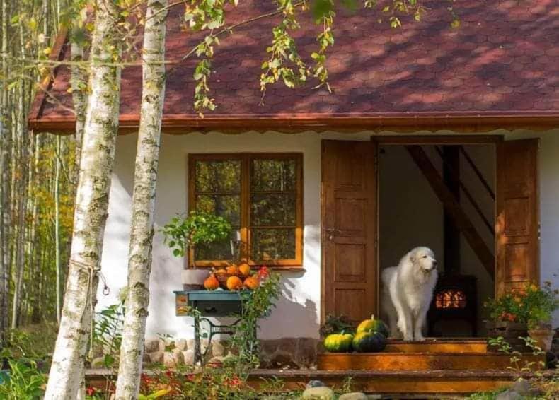 Siedlisko MiłoBrzózka, Sorkwity (updated prices 2026)