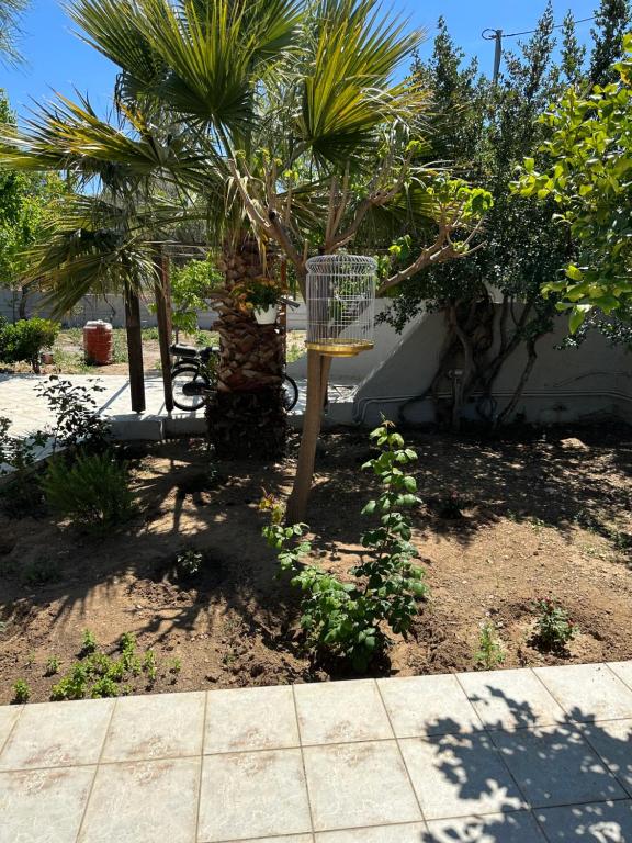 Anemones Athens guesthouse, Loútsa (updated prices 2025)