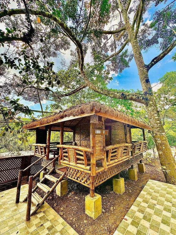 Ayong's Adventure Park, Malabay (updated prices 2025)