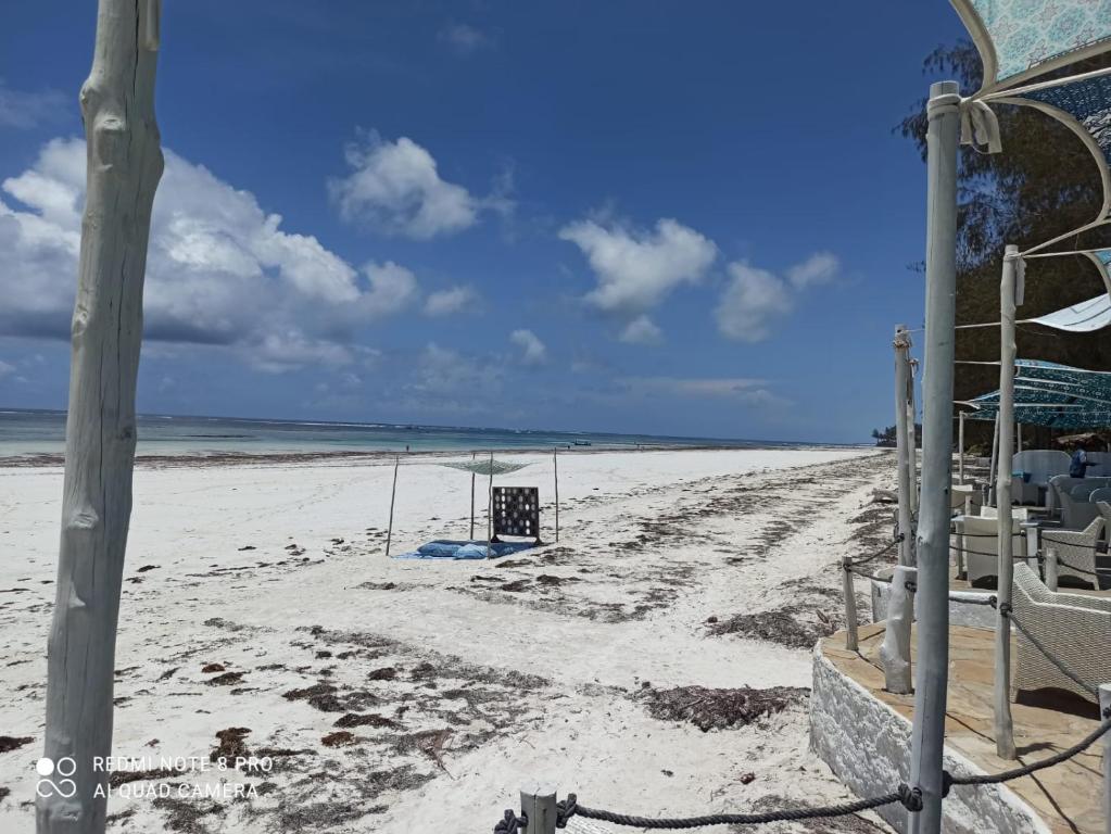 Gdzie Kiedyś Magiel, Oświęcim (precios actualizados 2025)