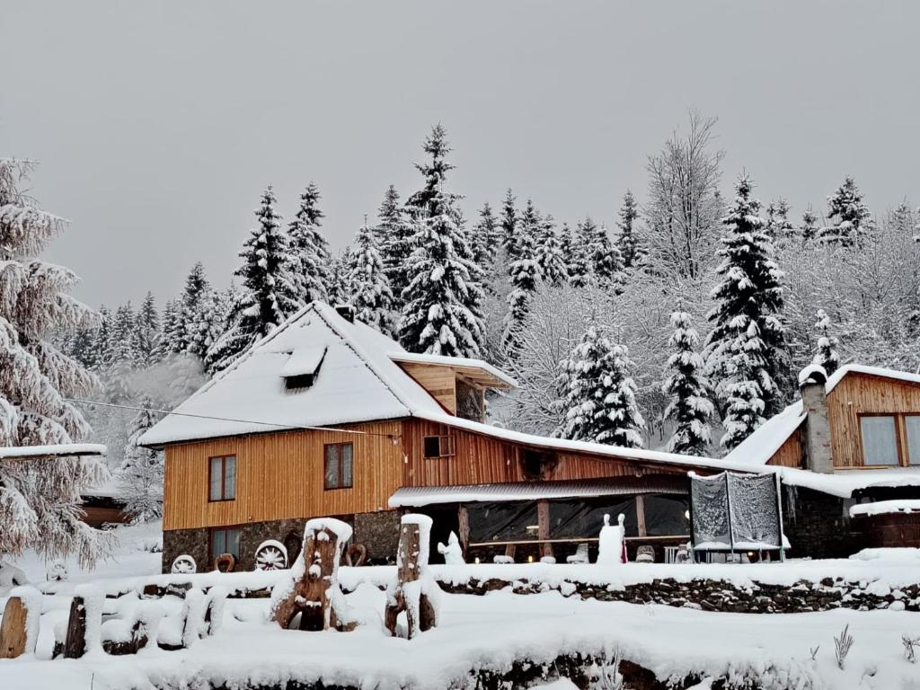 Cabana Virful Muntelui, Cîmpeni (updated prices 2025)