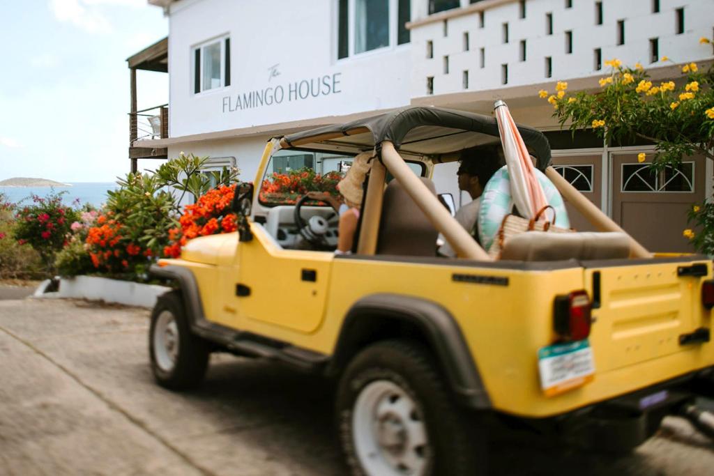 The Flamingo House, Contant (precios actualizados 2026)