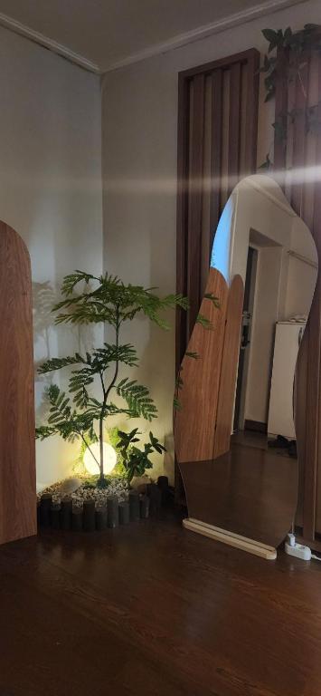 애플, Hongdae Yeontral park, Seoul (aktualisierte Preise für 2026)