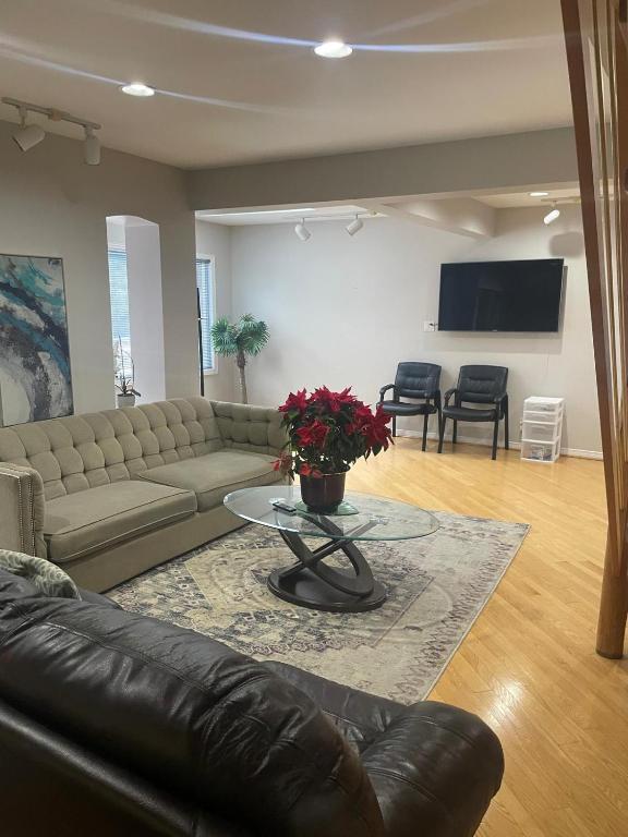 Extremely Cheap Room in Best Area 24x7 Checkin, Pickering (updated ...