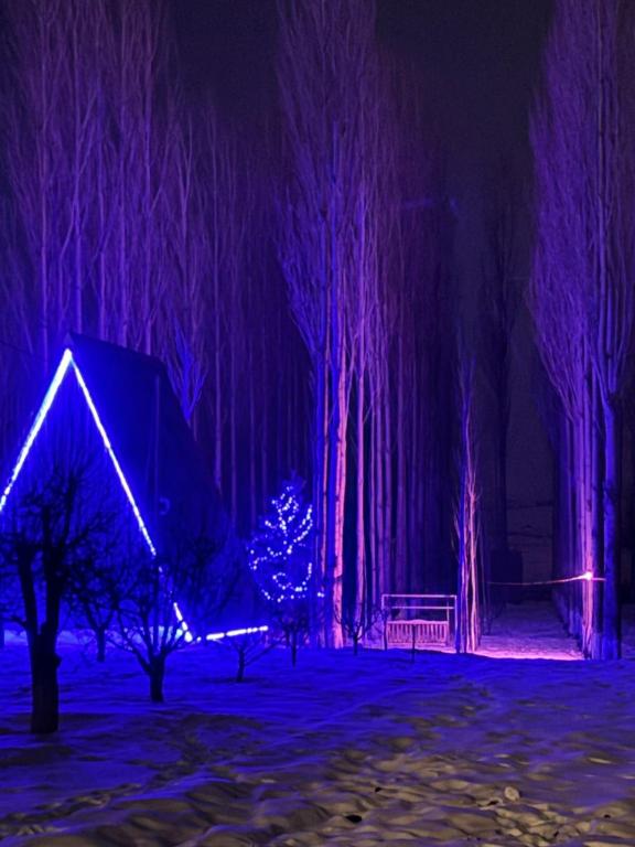 Zovaber hangsti goti, Sevan (updated prices 2025)