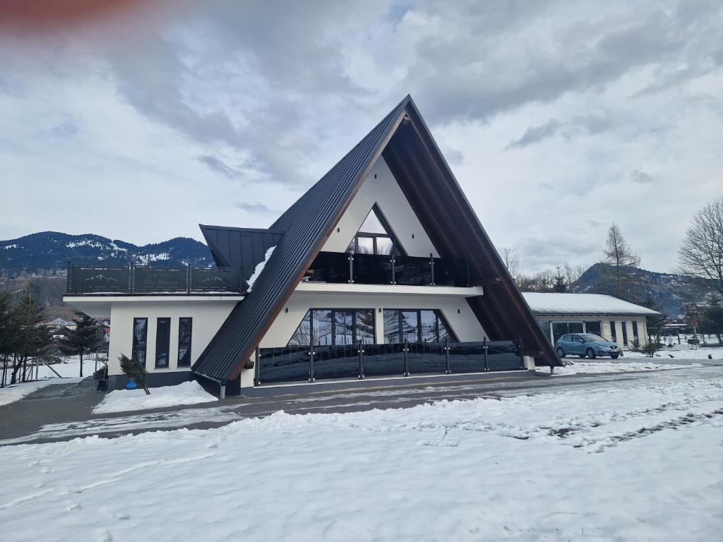 Vila Timeea, Statiunea Borsa (updated prices 2025)