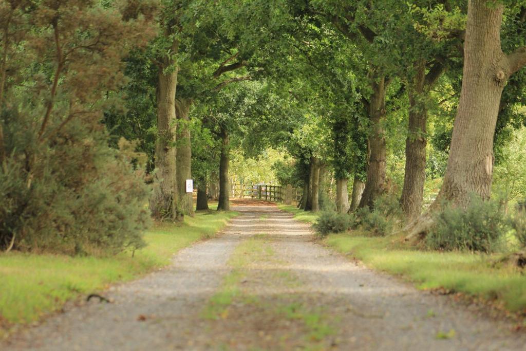 Woodman's Farm, Norwich (updated prices 2025)