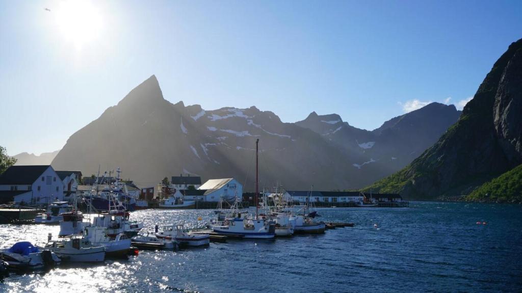 Lofoten panoramic luxury home with sauna, Moskenes (updated prices 2025)