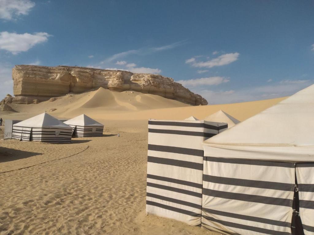 Camp Qasoor, Qaryat Ḩātim aţ Ţāʼī (updated prices 2026)