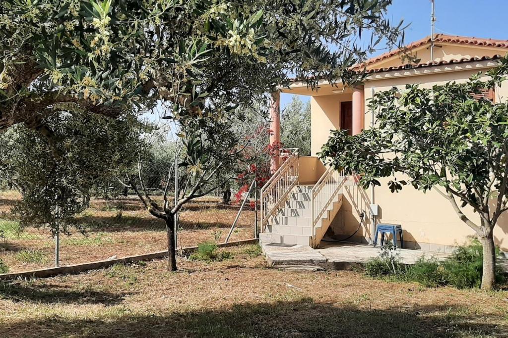 Ελαια, Marathopolis (updated prices 2026)