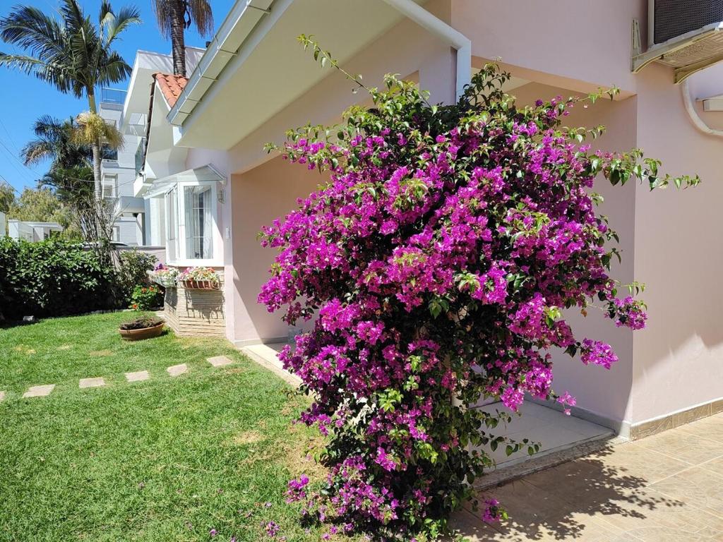 Linda casa 4 quartos 500m da praia dos Ingleses, Florianópolis (updated ...