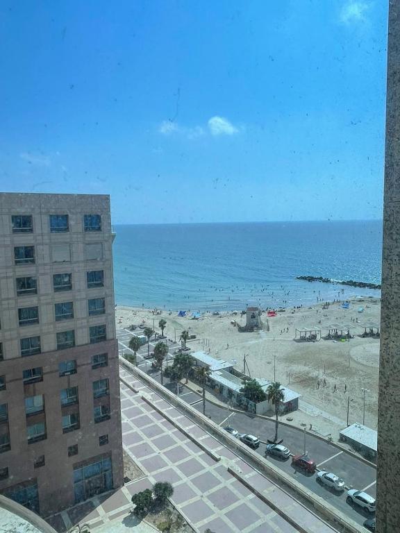 One Bedroom and One livingroom Apartment with full kitchen and full ...