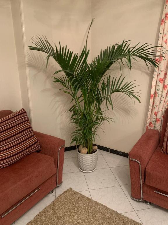 Saudi Community Hotel Apartments in Nasr City، القاهرة (أسعار محدثة ...