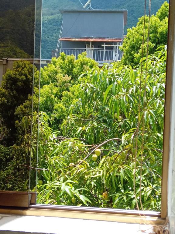 Executive type apartment of 35 meters Sebucan Caracas, Caracas (updated ...