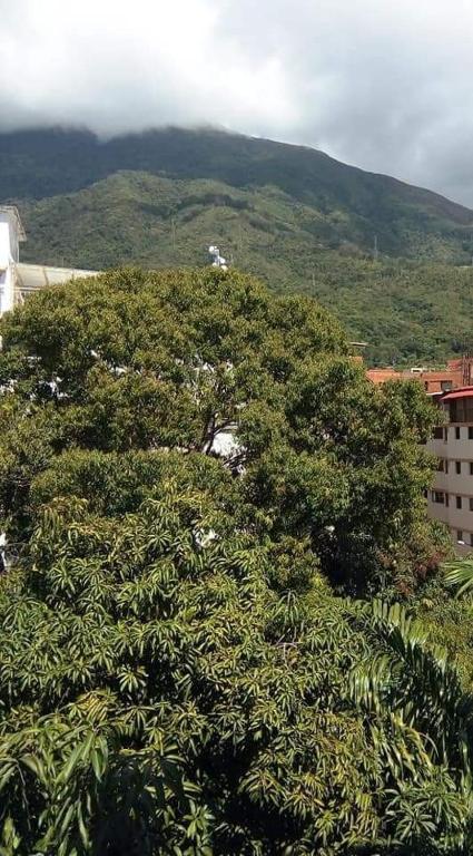 Executive type apartment of 35 meters Sebucan Caracas, Caracas (updated ...
