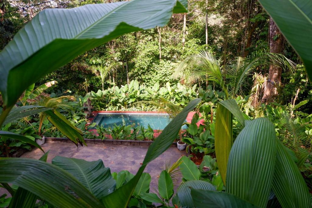 Rainbow Lodge Costa Rica, Savegre (updated prices 2025)