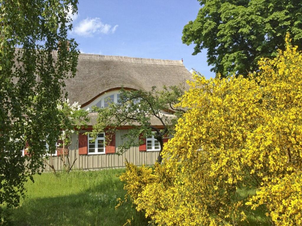 Old shipman's house Comfortable holiday residence, Wieck (updated ...