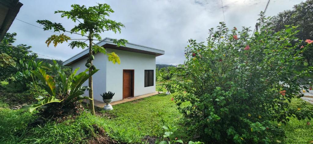 Rios-lodge, Mirador (updated prices 2026)