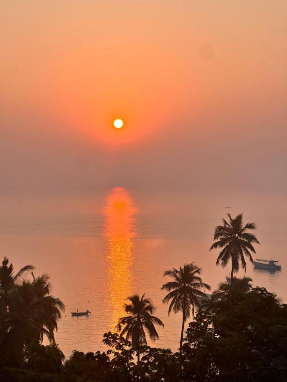 Beach monkeys, Dona Paula (updated prices 2025)