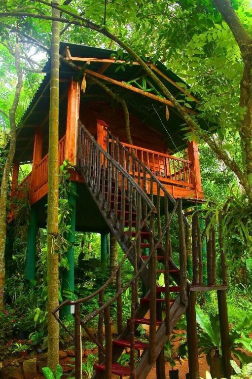 The Hidden Treehouse, Massalapitiya (updated prices 2025)