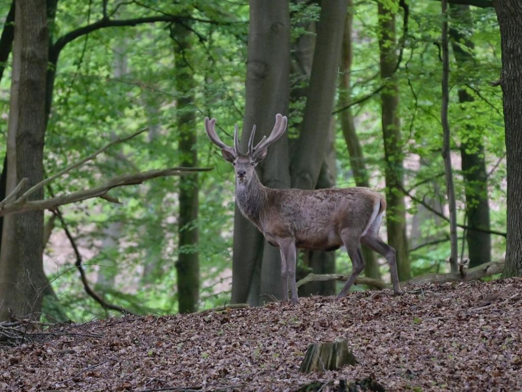 Wellness Landgoed De Valkenberg, Rheden (bijgewerkte prijzen 2025)