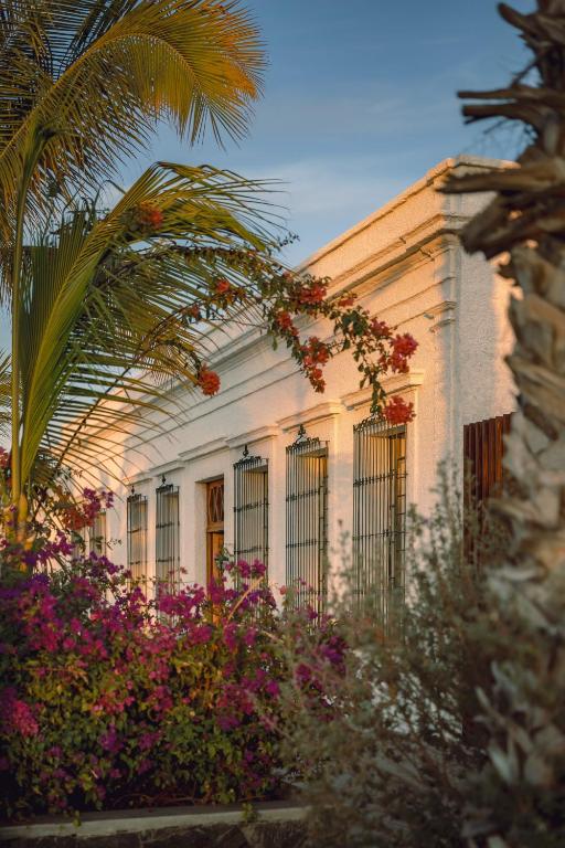 Baja Club Hotel, La Paz, Baja California Sur, a Member of Design Hotels ...