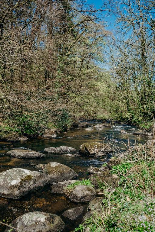 Fox Tor Apartment, Plymouth (updated prices 2025)