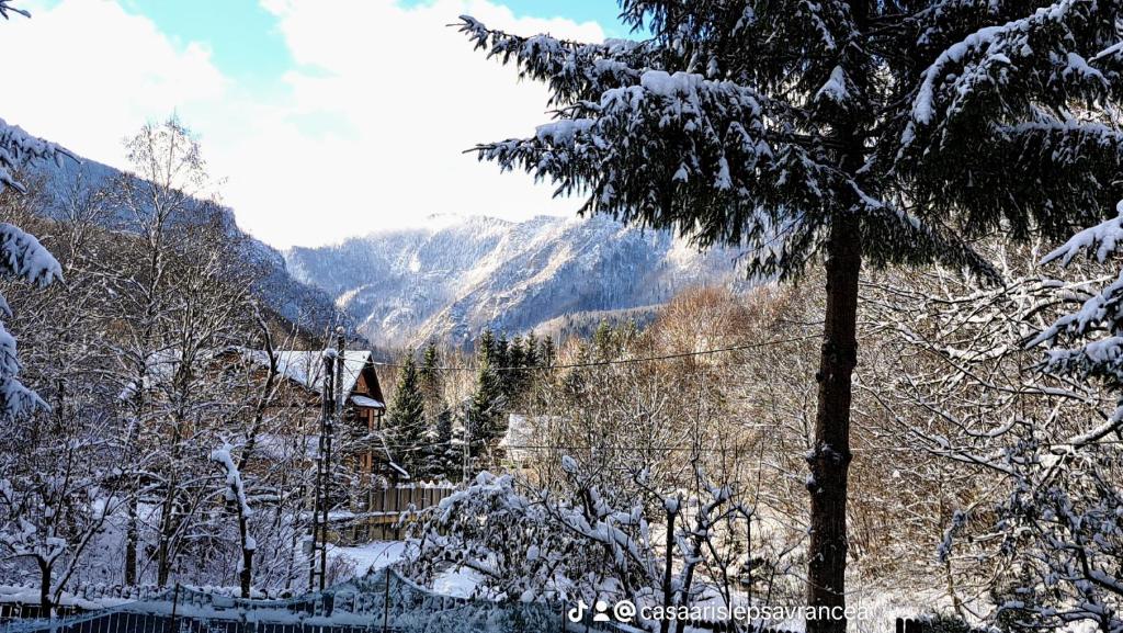 Casa Aris Lepsa Vrancea, Lepşa (updated prices 2025)