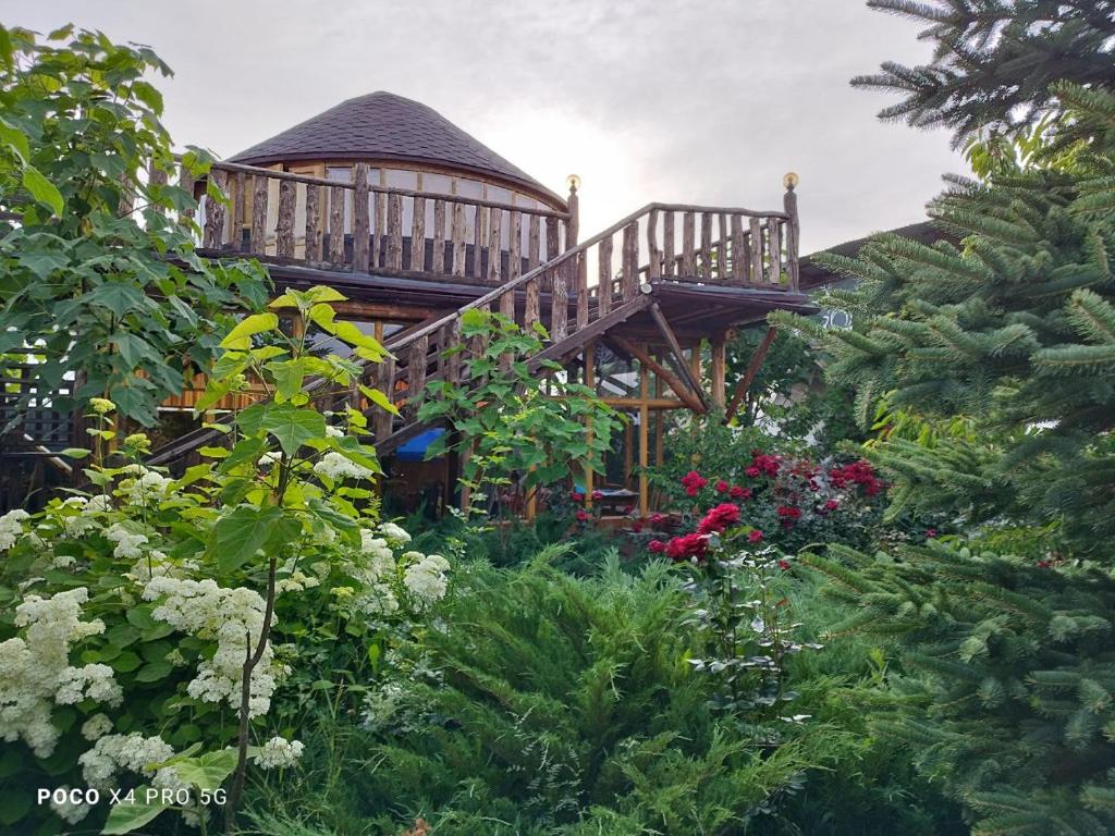 Happy Nomads Yurts & Hostel, Karakol (preços atualizados para 2025)