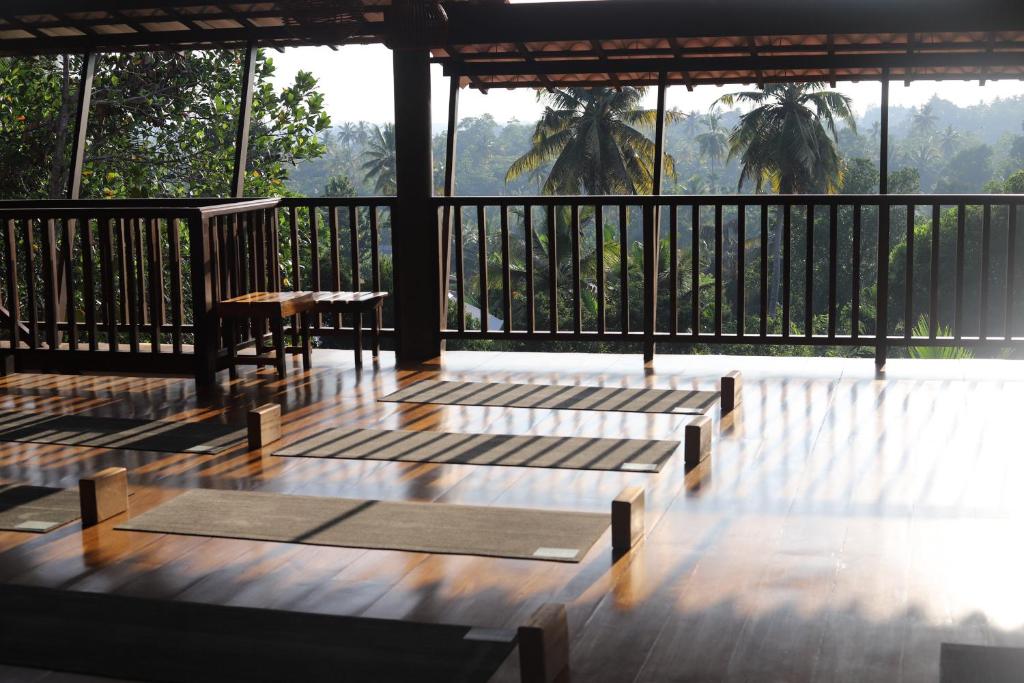 The Jungle View, Mirissa (updated prices 2026)