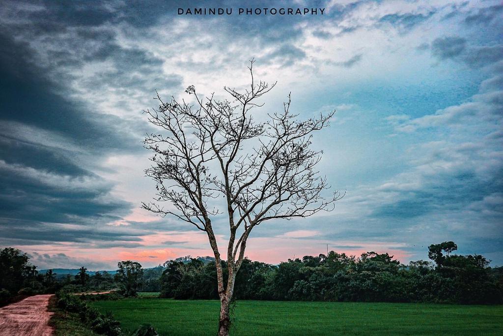 Cloud Crest, Akuressa (updated prices 2025)