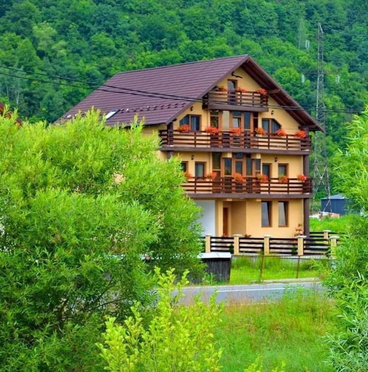 Casa Vadeanu, Vadu Izei (aktualisierte Preise für 2025)