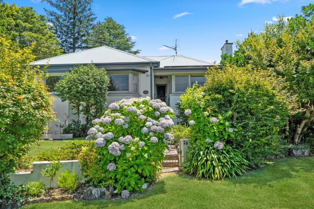 Misty Maples, Katoomba (updated prices 2026)