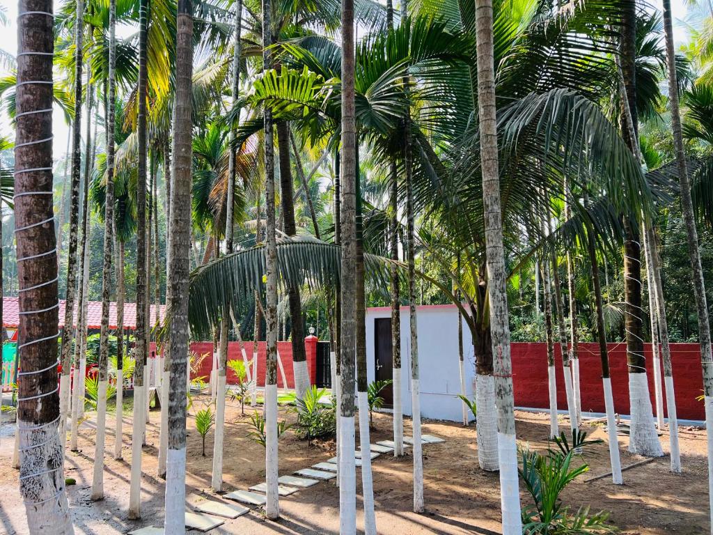 Chaul Heritage, Alibag (updated prices 2026)