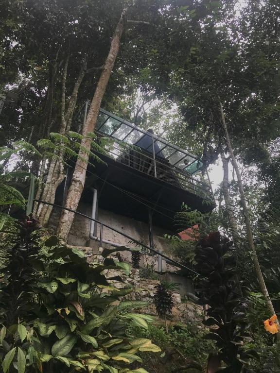 KK Farm Stay, Ringlet (updated prices 2026)